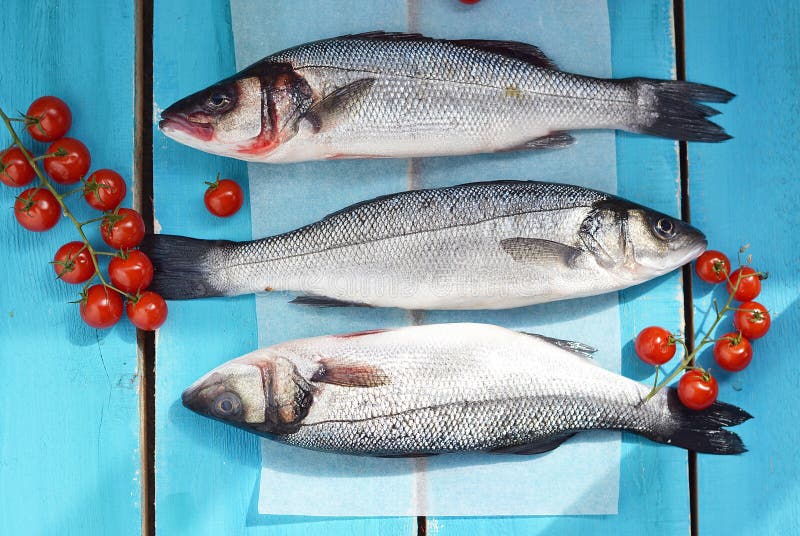 Sea bass stock image. Image of industry, nutrition, cuisine - 30451789