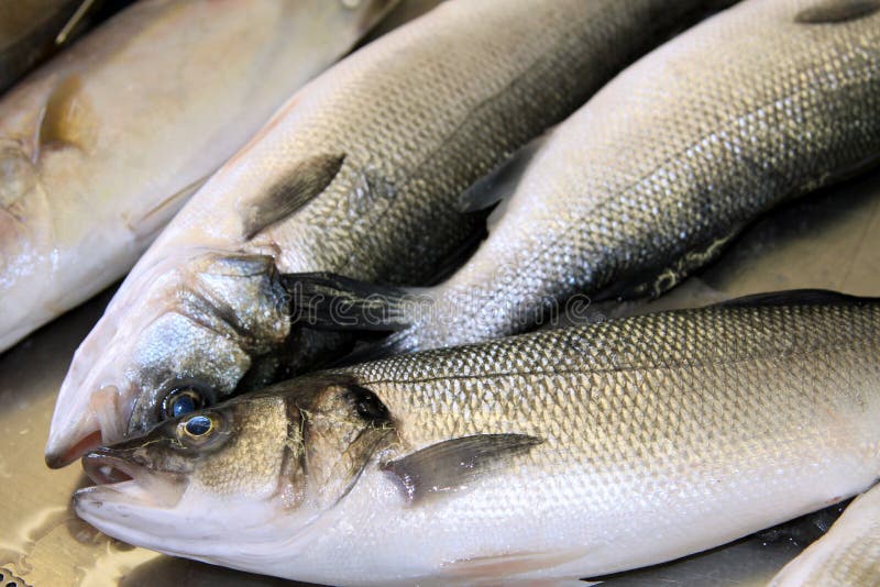 Fish Shop with Variety of Exposed Sea Fish- Stock Image - Image of ...