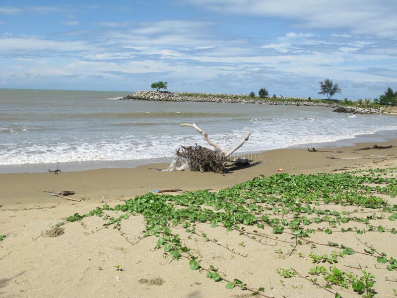 Sea beach of Brunei stock photo. Image of ocean, horizon - 353491780