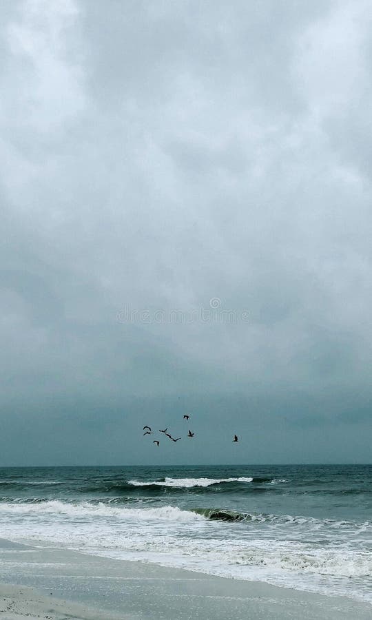 Sea beach cloud. Bleu stock photo. Image of horizon - 213285868