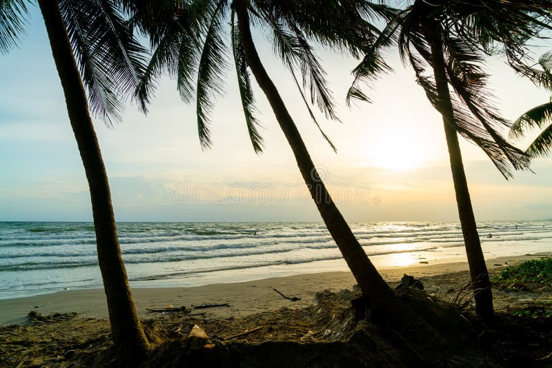 Sea Beach with Coconut Palm Tree at Sunset Time Stock Image - Image of ...