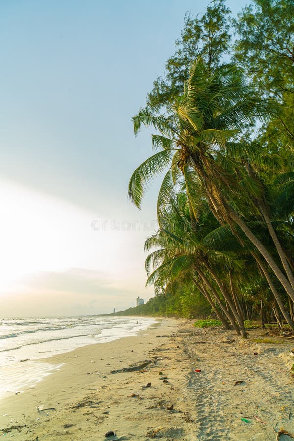 Sea Beach with Coconut Palm Tree at Sunset Time Stock Photo - Image of ...