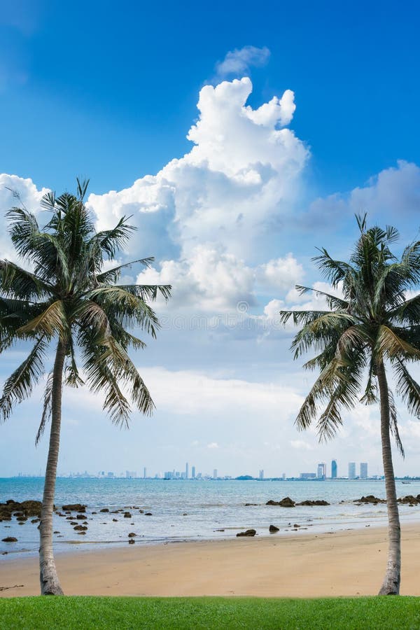 Sea Beach with Coconut Tree in Front View Stock Photo - Image of palm ...