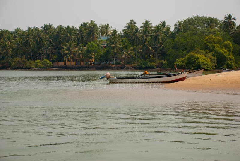 The Sea and the Beach in the Evening. Goa State, India. Editorial Photo ...