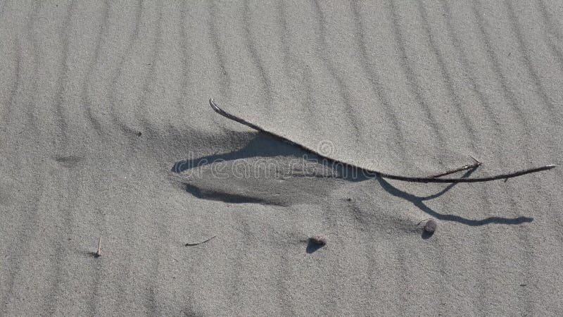 Sea Beach Sand Movement in Wind, Nature Video Background Stock Footage ...