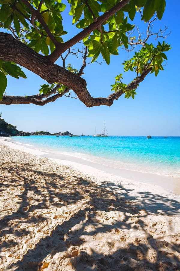 Sea beach scenery stock image. Image of island, palm - 77451111