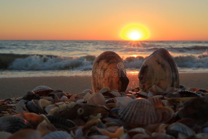 The Sea, the Beach, Seashells. the Meeting at Sunset Stock Photo ...