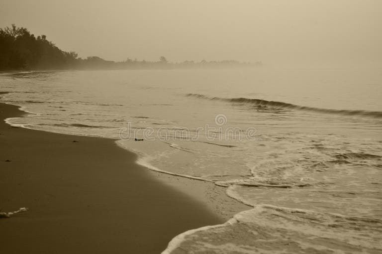 105 Panoramic Beach View Sepia Colours Stock Photos - Free & Royalty ...