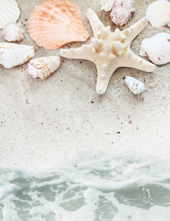 Sea Beach with Shells Border Stock Photo - Image of vacation, life ...