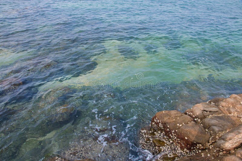 Sea and Beach with Stone at Coast Stock Photo - Image of scenery ...