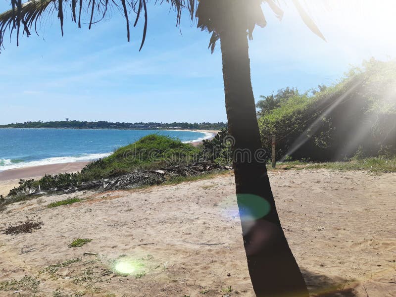 Sea Beach with sunlight stock image. Image of trees - 169840991
