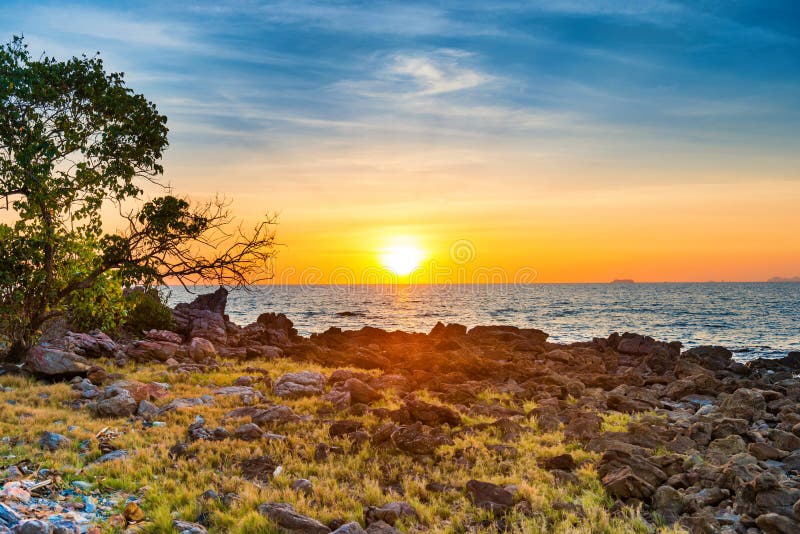 Sea beach sunset landscape stock image. Image of panoramic - 268213379