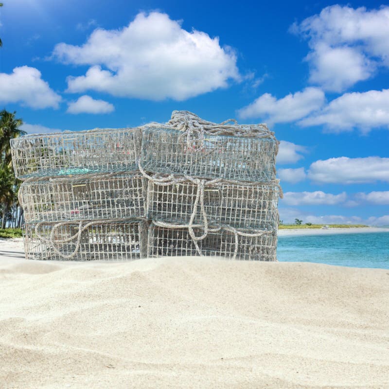 Sea Beach with Traps for Shellfish- Stock Photo - Image of fishery ...