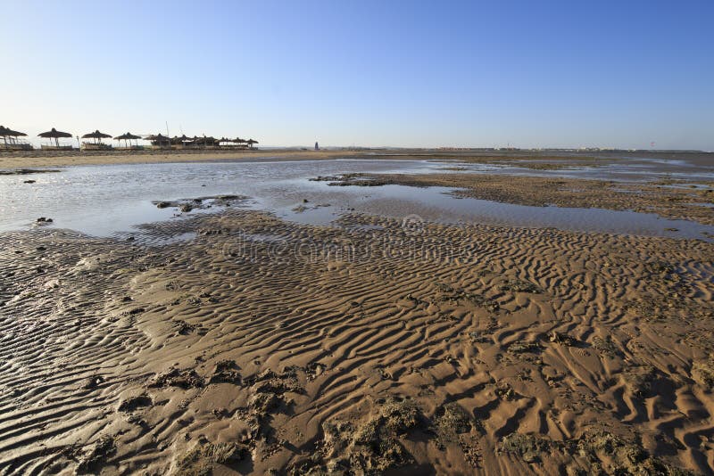 Naked bottom stock image. Image of slim, caucasian, female - 14001783