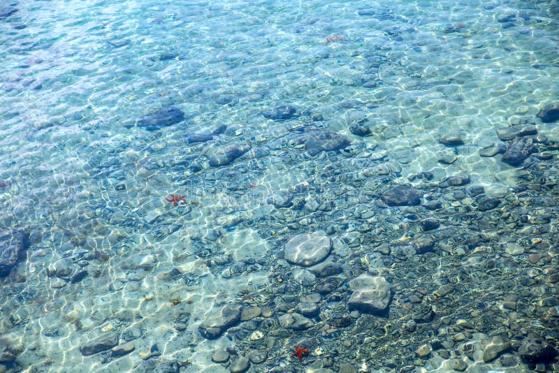 Sea bottom photo stock image. Image of caribbean, bottom - 107688749