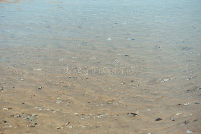 Sea Bottom Sand and Seashells Under the Layer of Water on a Hot Summer ...