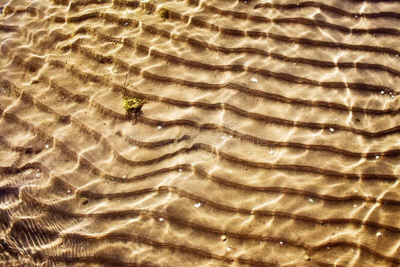 Sea Bottom - texture stock image. Image of peace, flow - 2999935