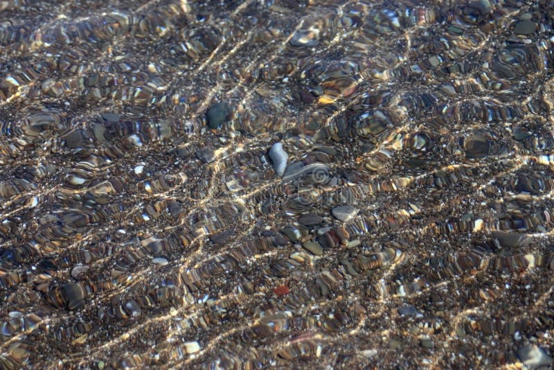 Sea bottom texture stock photo. Image of background, bright - 35577556