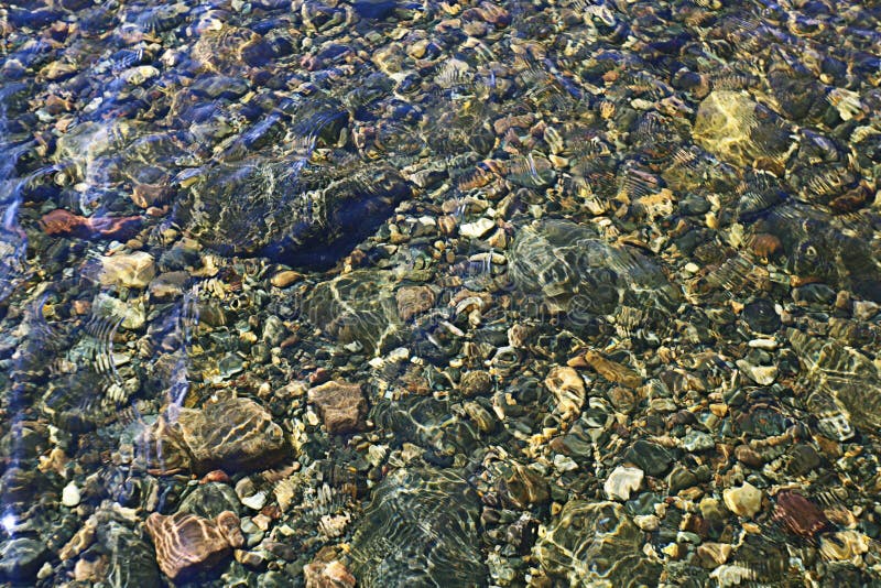 Sea Bottom Texture Stock Photos - Download 5,825 Royalty Free Photos