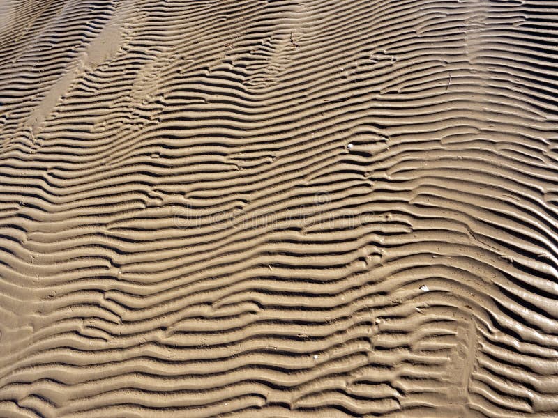 Sea Bottom Wavy Sand during Low Tide Top View Stock Photo - Image of ...