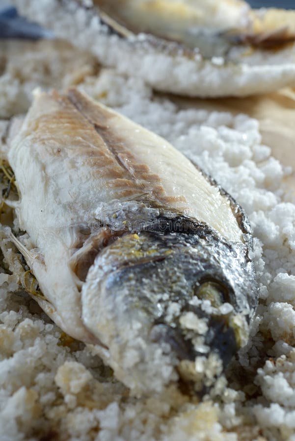 Sea bream baked in salt stock photo. Image of prepared - 33968752