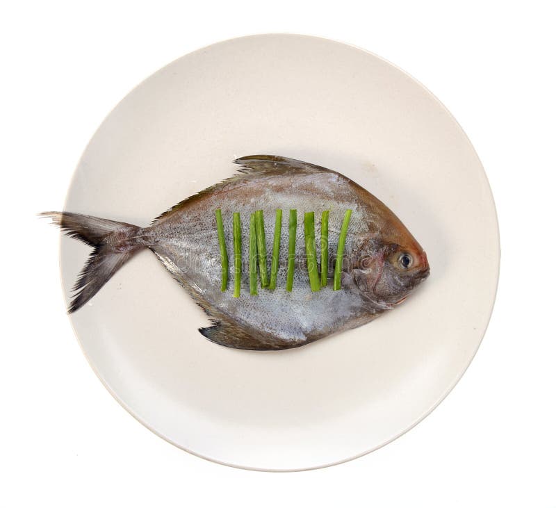 Fish in the plate stock image. Image of state, bream - 29889367