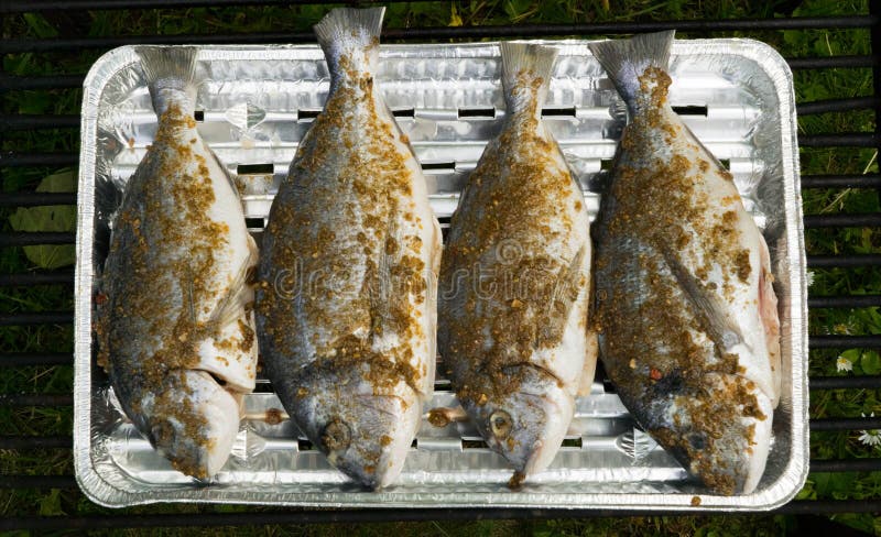 Sea Bream Marinated in Front of the Grill. Stock Photo - Image of brema ...