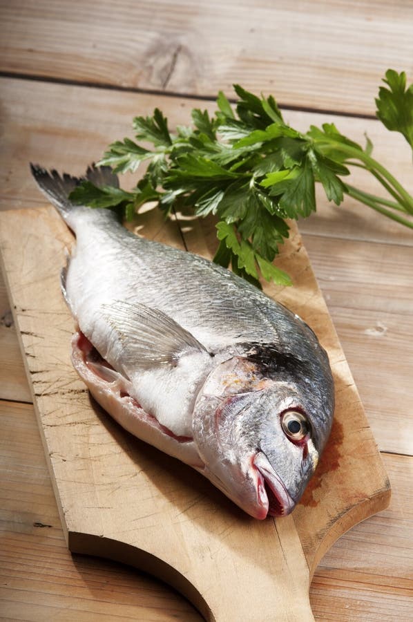 Sea bream with parseley stock image. Image of animal - 46338735