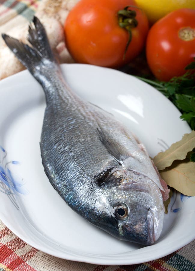 Double Bar Bream (acanthopagrus Bifasciatus) Stock Image - Image of ...