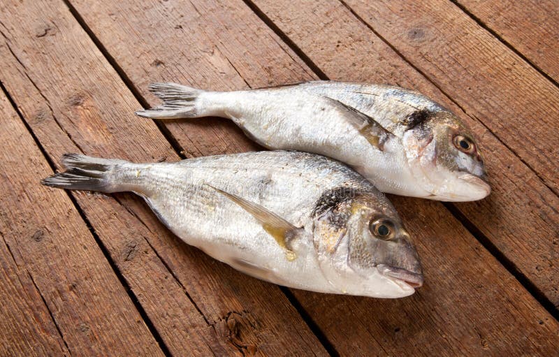 Sea bream stock image. Image of bream, saline, full, cuisine - 29721419