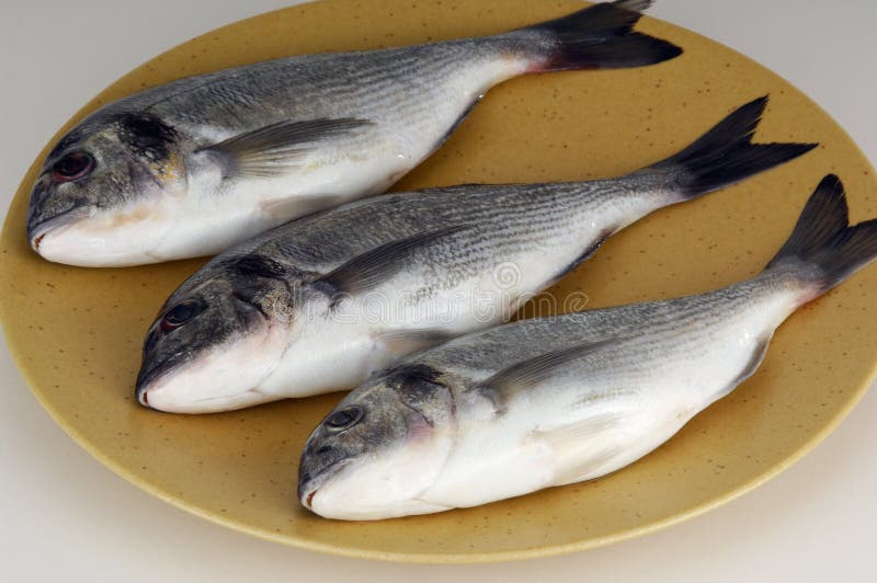 Sea breams stock image. Image of food, meat, bream, acids - 14296313