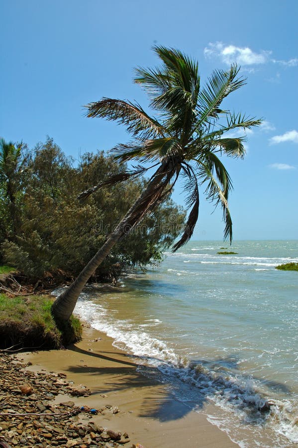 83,893 Breeze Stock Photos - Free & Royalty-Free Stock Photos from ...