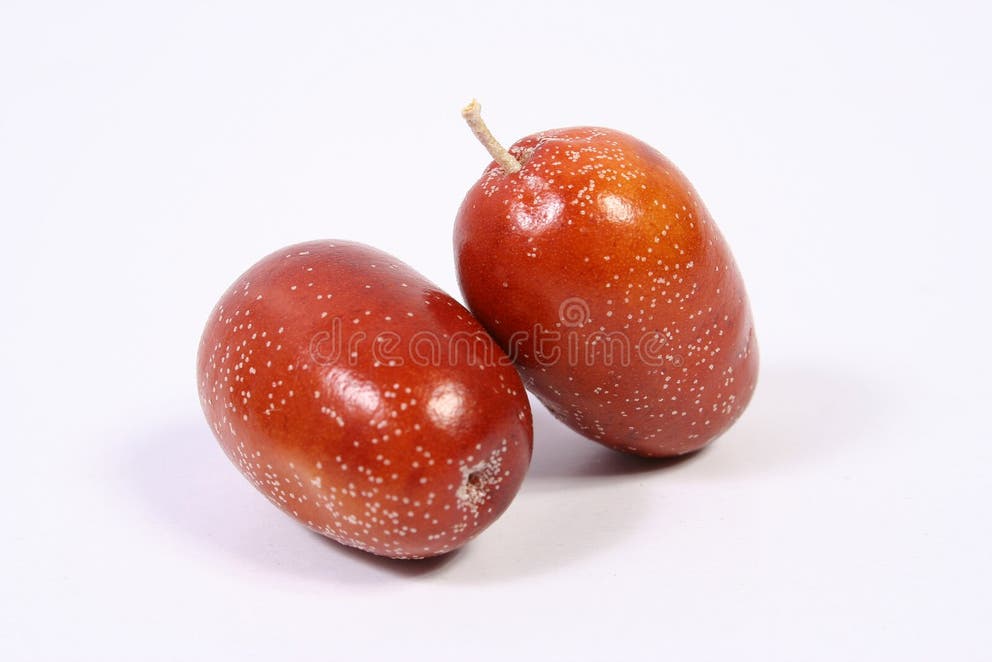 Sea-buckthorn stock photo. Image of reap, food, flora - 1340832