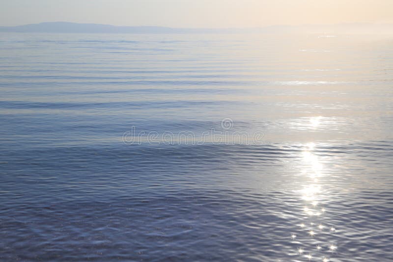Calm Water stock image. Image of peace, calm, branch - 32482163