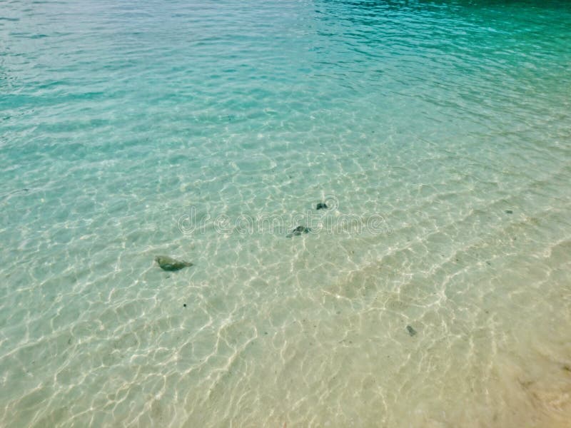 The Sea is so Clear that it Can See the Sand Stock Image - Image of ...