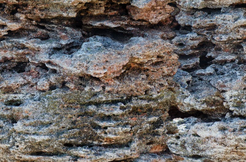 Sea Cliff Background Pattern Stock Photo - Image of moss, horizontal ...