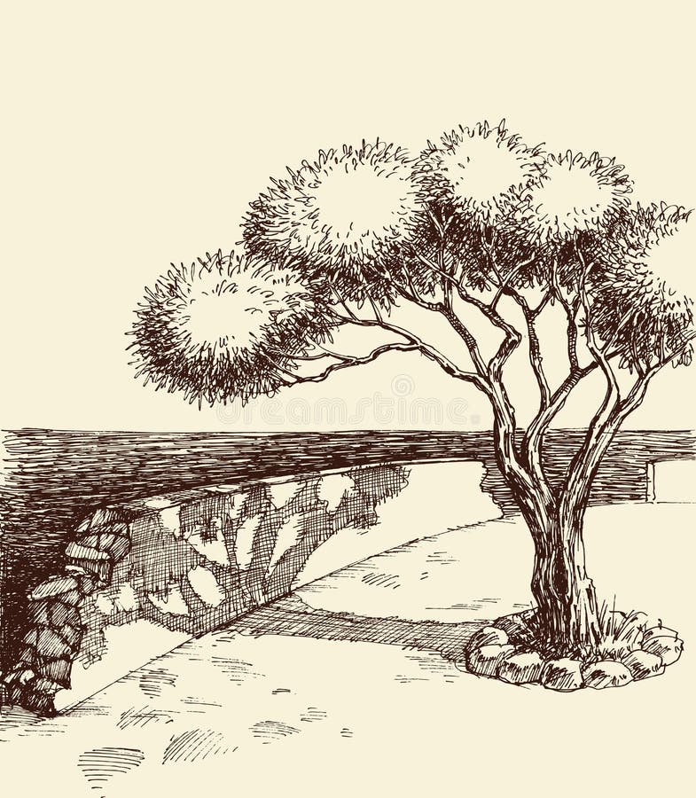 Sea Cliff and Park Terrace Hand Drawing Stock Vector - Illustration of ...