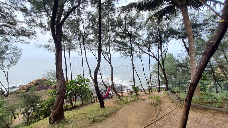 Sea cliff view stock photo. Image of nature, walking - 240929248