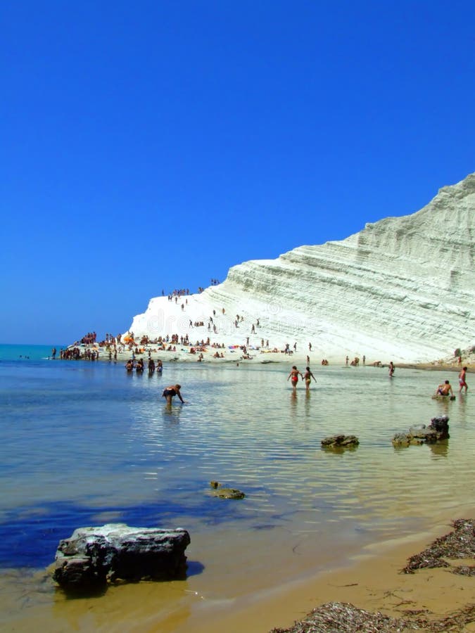 Sea coast landscape stock image. Image of kelp, coast - 2987975