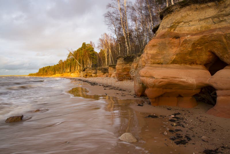 Sea Coast with Sandstone Cliffs Stock Image - Image of sandstone, tree ...