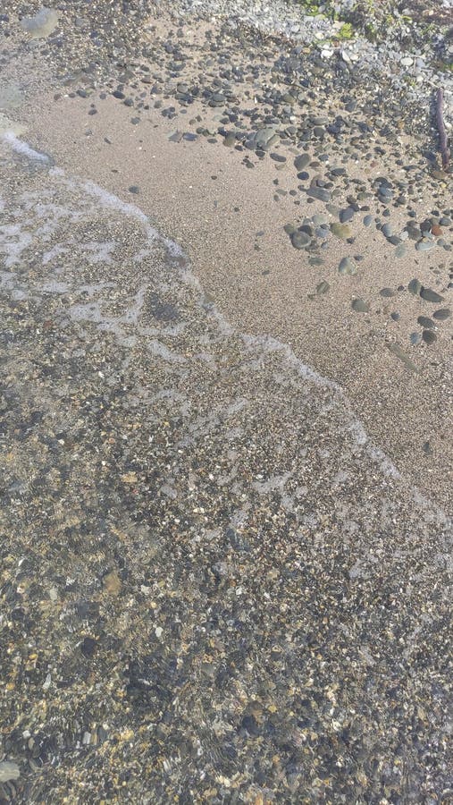 Sea coast texture stock photo. Image of geology, coast - 225453954