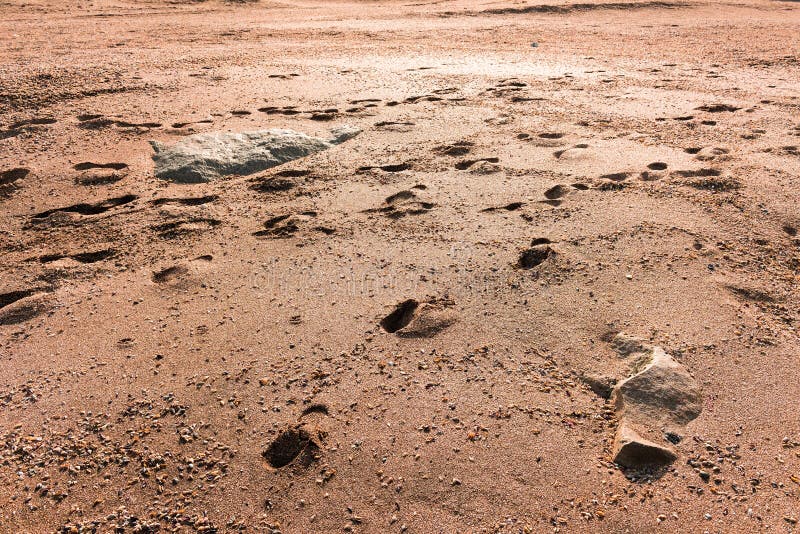 Sea coast stock photo. Image of nature, colorful, relax - 69082660