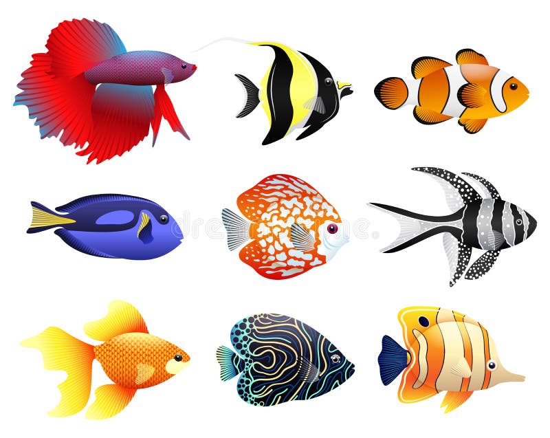Fish vector collection stock vector. Illustration of clipart - 205515532