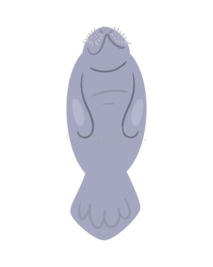 Sea cow aquatic creature stock vector. Illustration of cartoon - 332130171