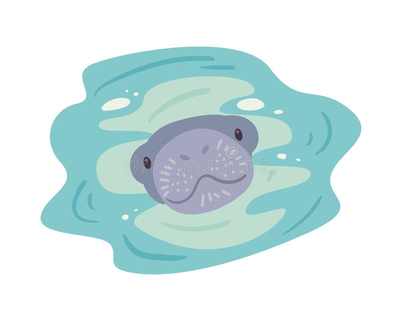 Sea Cow Swimming Under the Water Stock Vector - Illustration of mammal ...