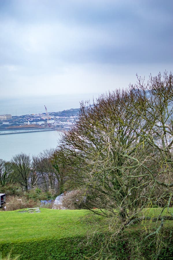 The Sea of Dover and Long Green Trees Stock Photo - Image of grass ...
