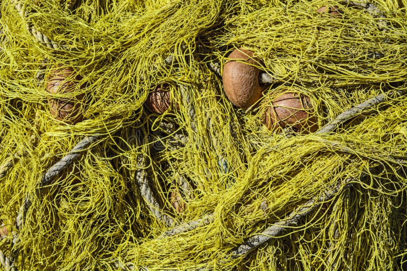 Sea drift net stock photo. Image of fish, tangled, snare - 73868526