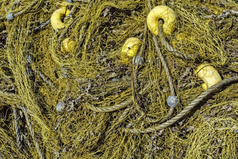 Sea drift net stock photo. Image of float, tangled, graphics - 73915840