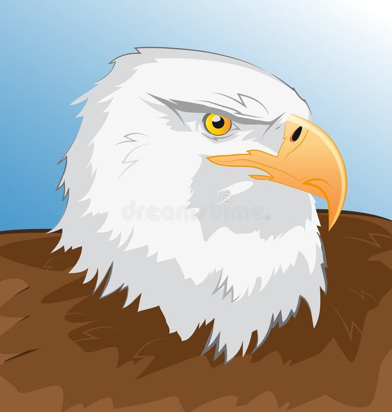 Sea eagle illustration stock illustration. Illustration of flying ...