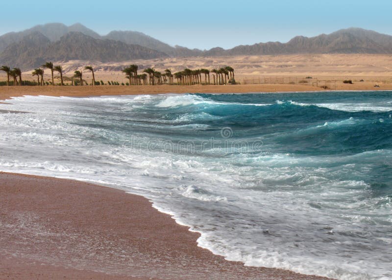 Sea in egypt stock photo. Image of drift, sunny, ocean - 18875524
